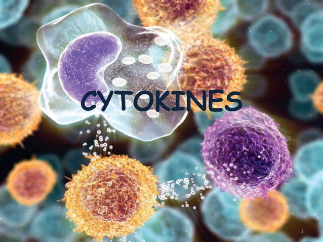 Cytokines | PPTX | Biological Sciences | Science
