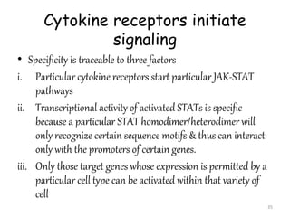 Cytokines | PPTX