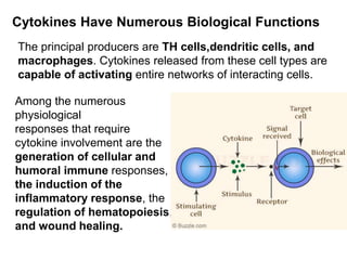 cytokines, a short slide show of an introduction to cytokines | PPT