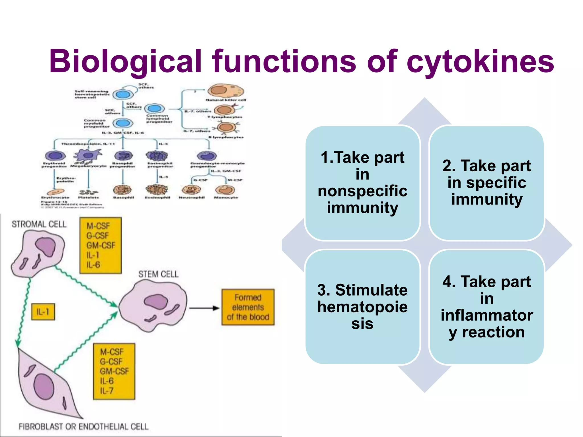 Cytokines | PPTX