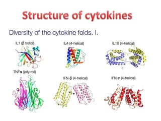 Cytokines | PPT