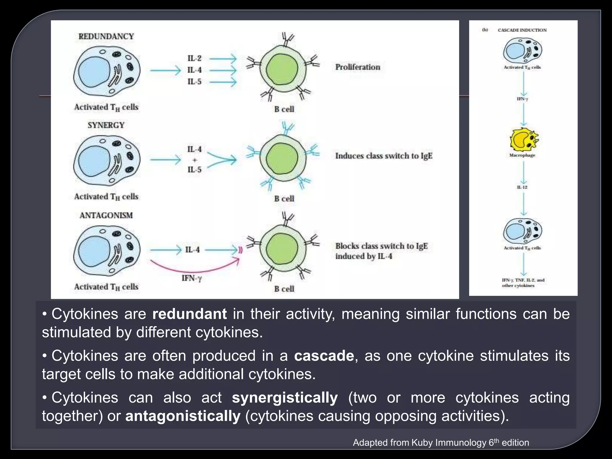 Cytokines | PPTX