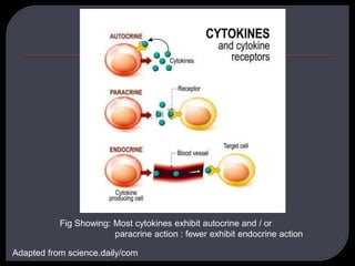 Cytokines | PPTX