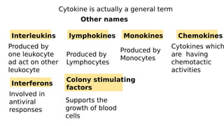 Cytokines | PPT
