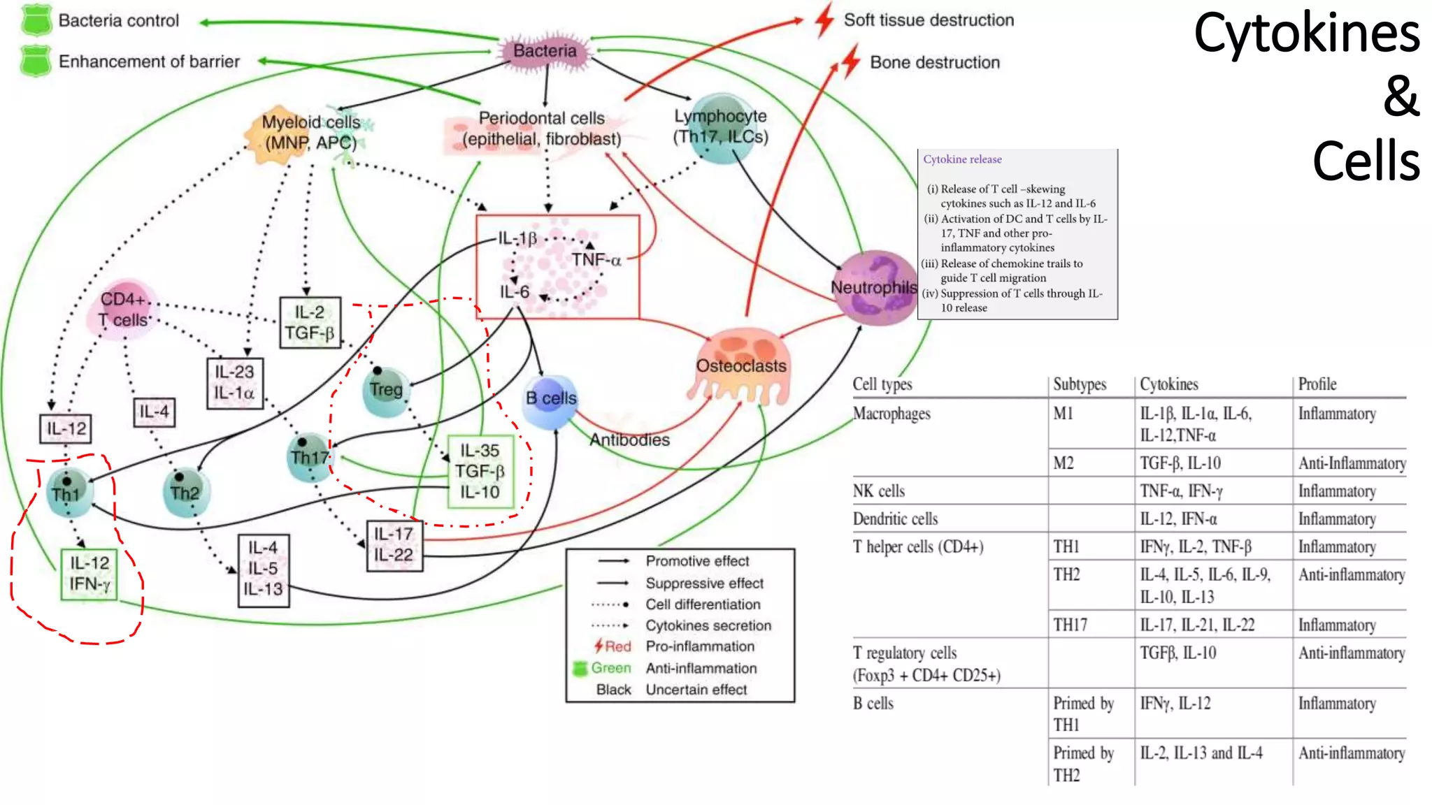 Cytokines and Periodontal Disease | PPTX