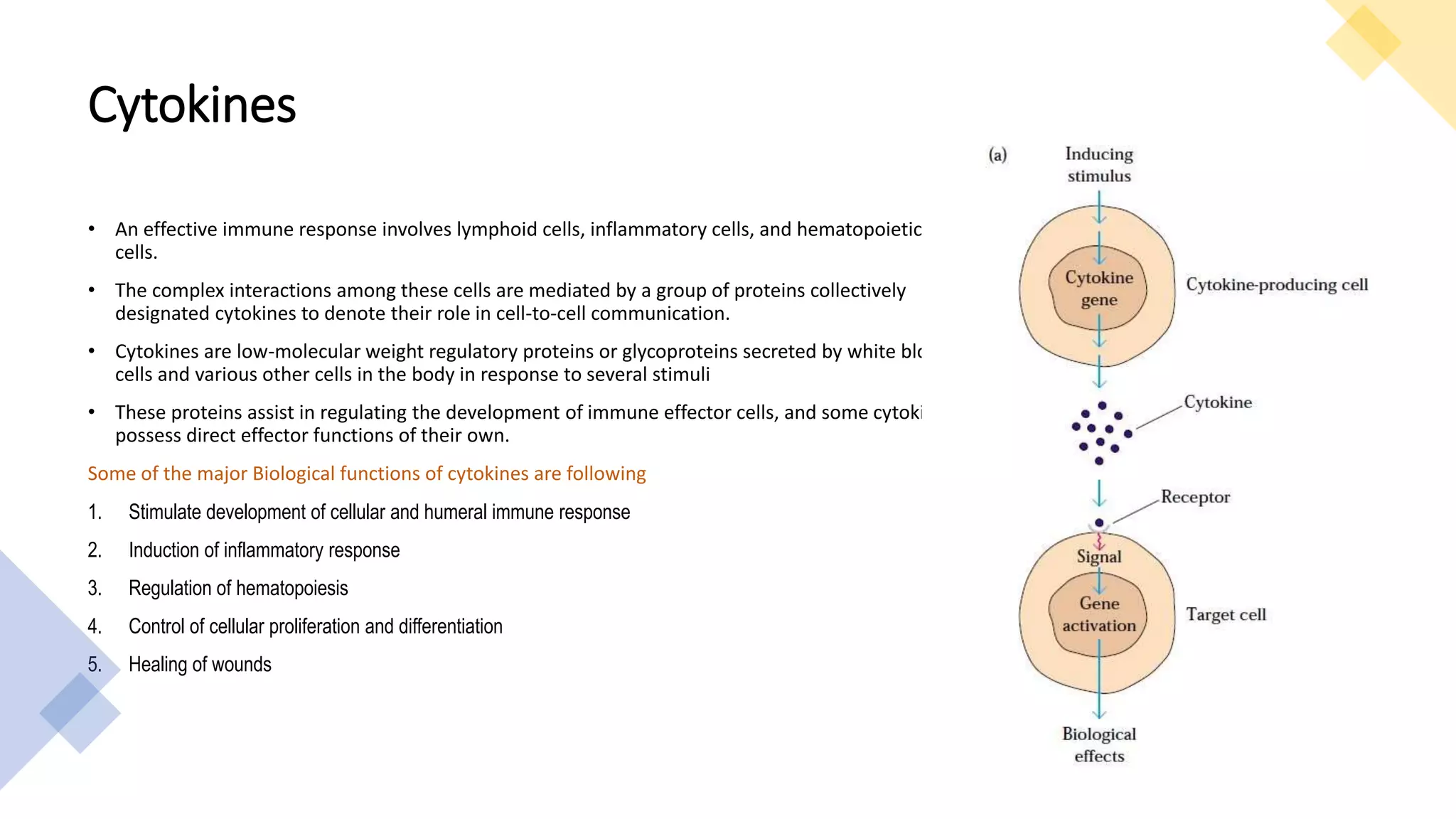 Cytokines | PPTX