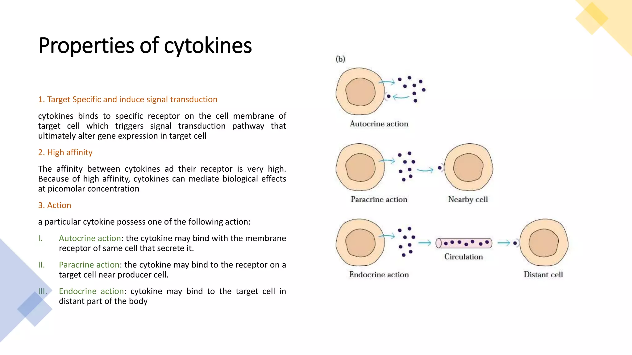 Cytokines | PPTX