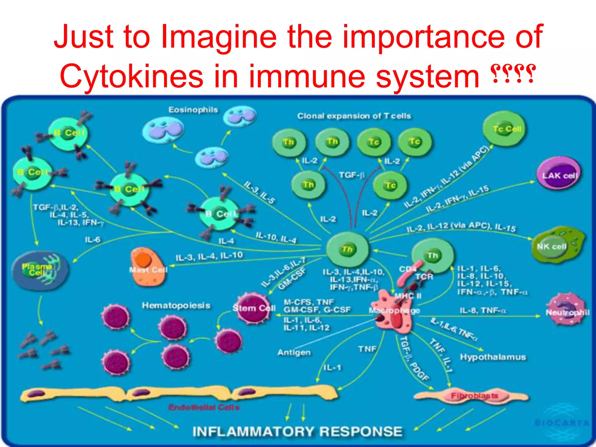 cytokines.pptx