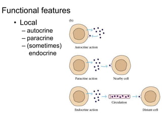 Cytokines.ppt