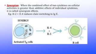 cytokines.pptx