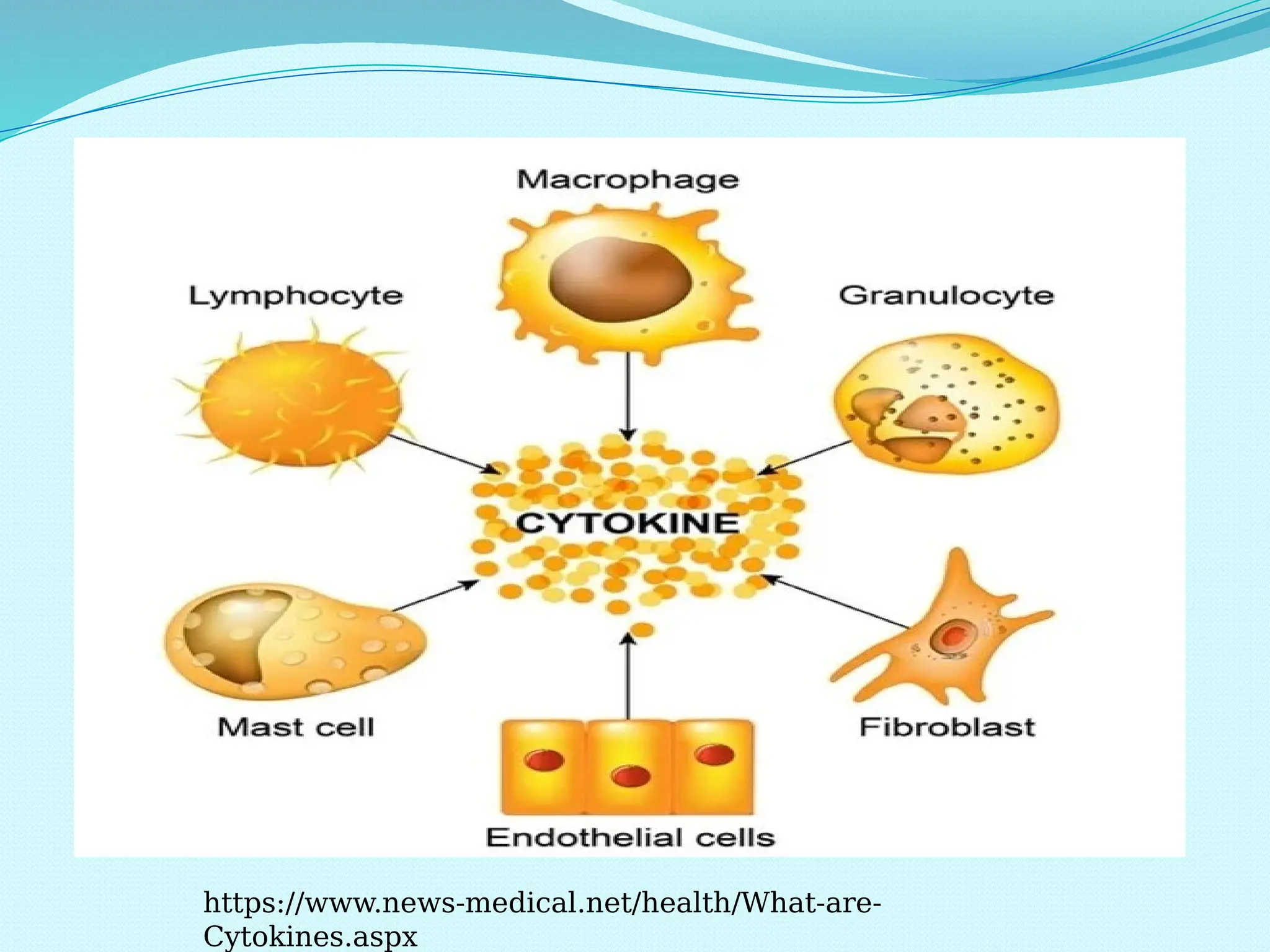 cytokines _immunesystemand immunotechnology | PDF