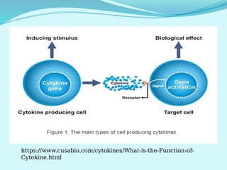 cytokines _immunesystemand immunotechnology | PDF