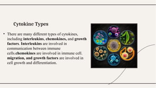 The Complex World of Cytokines: Molecular Mediators of Immune Response ...