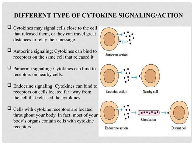 Cytokines: Introduction, Properties, and its Functions | PPTX