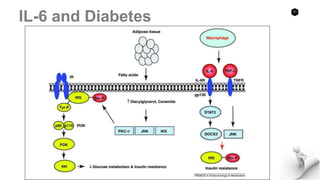 The Role of Inflammatory Cytokines in Type 2 Diabetes Mellitus : Short ...