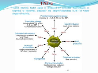 Cytokines as immunomodulators | PPTX