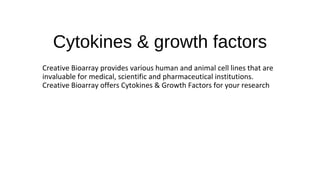 Cytokines & growth factors | PPT