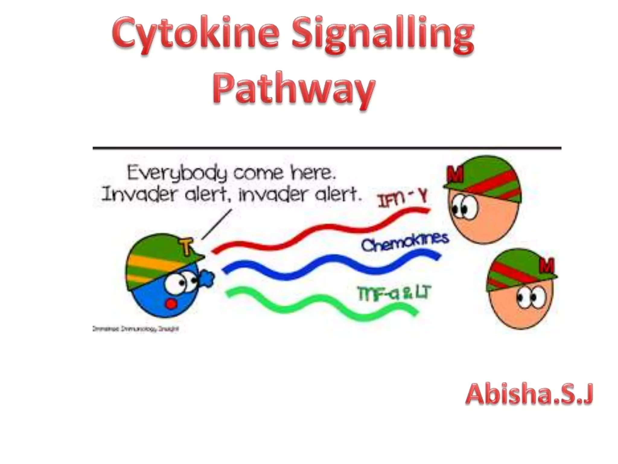 Cytokine signaling pathway | PPTX