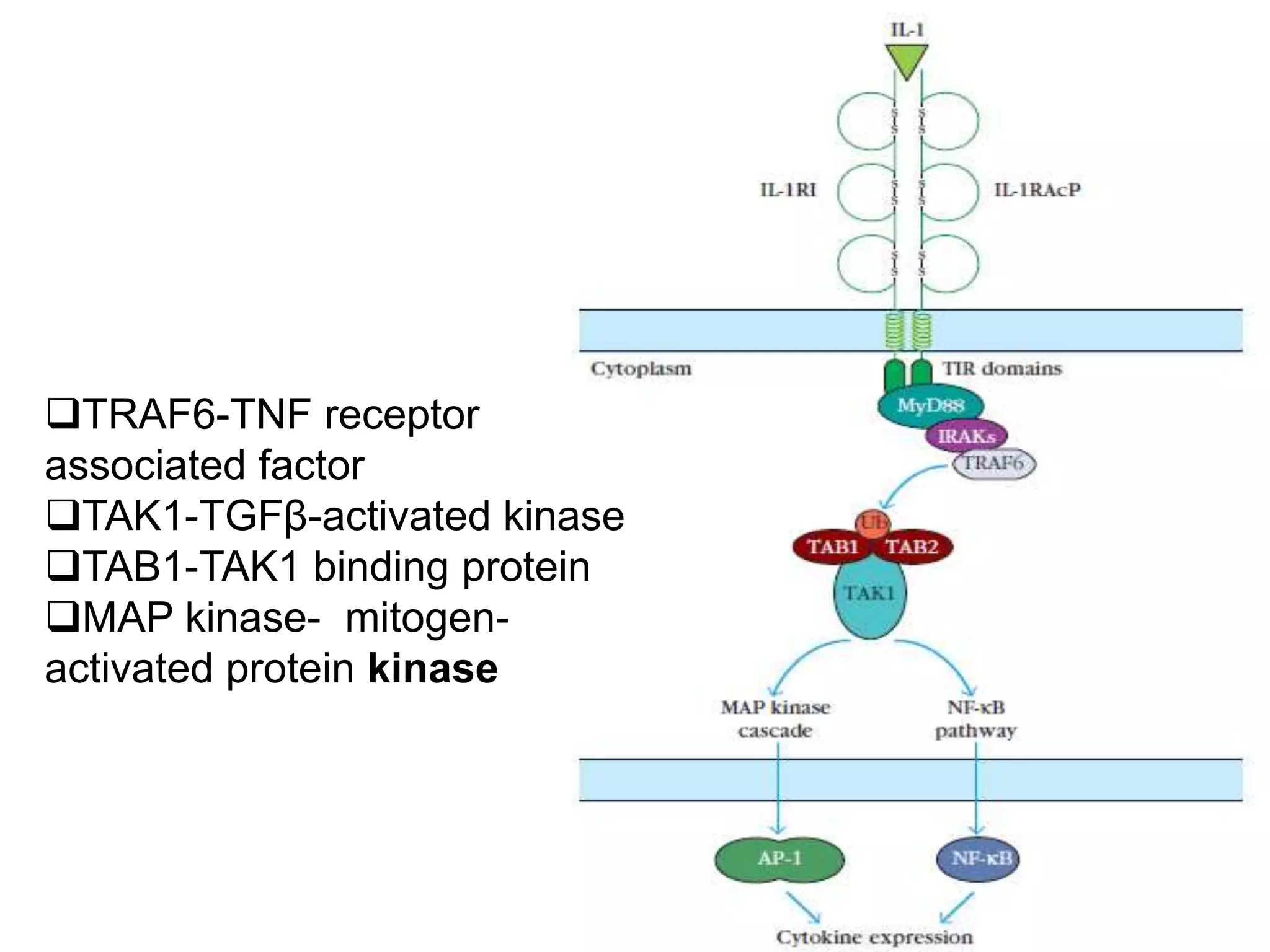 Cytokine signaling pathway | PPTX