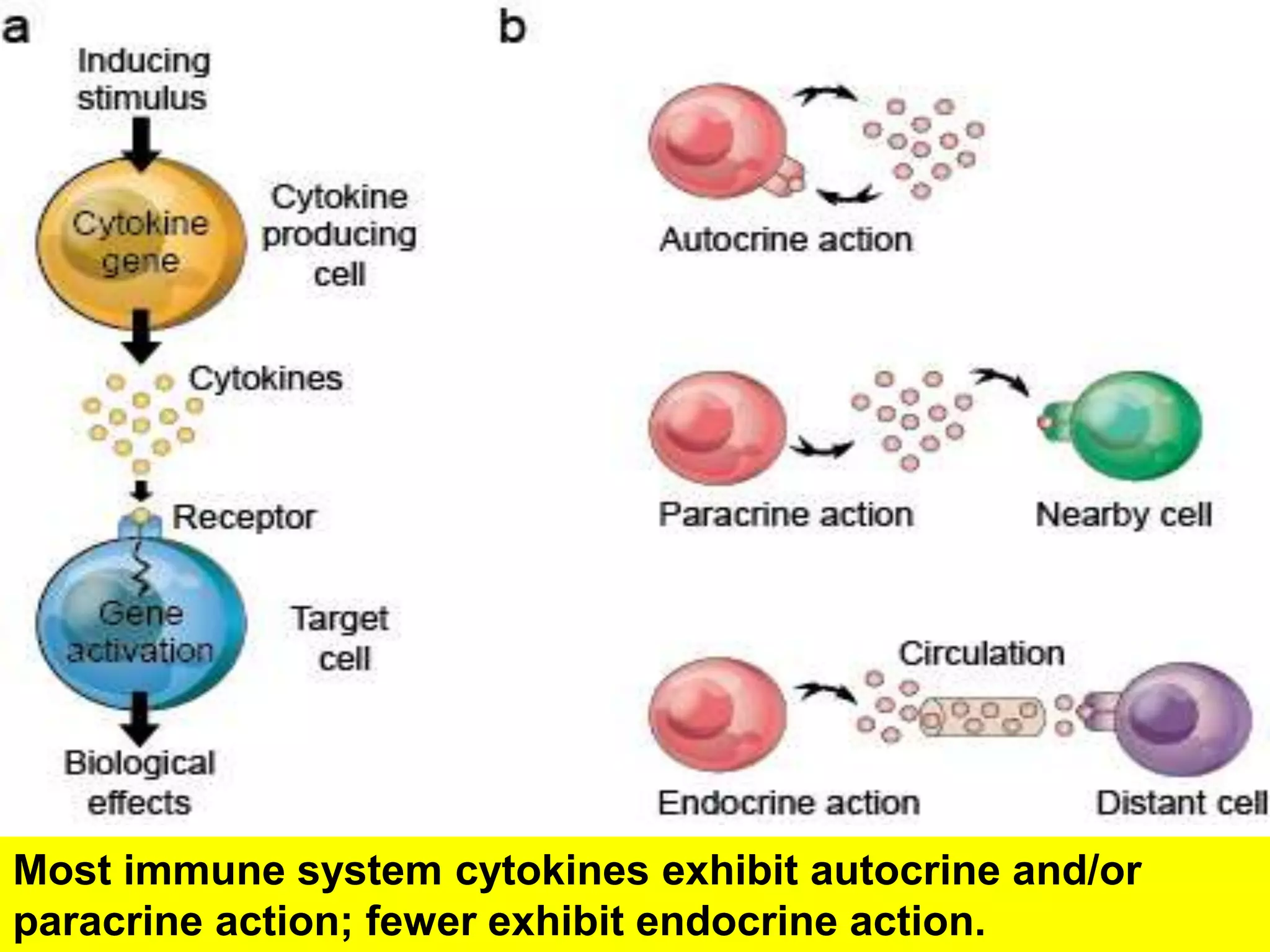 Cytokine signaling pathway | PPTX