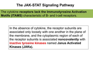 Cytokine signaling pathway | PPTX