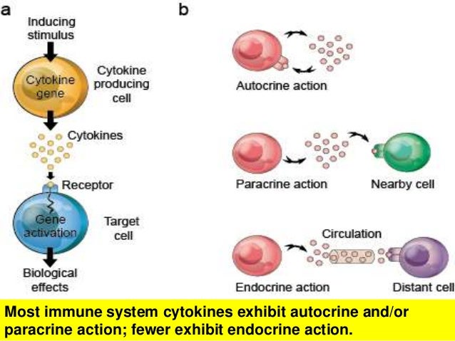 Cytokine signaling pathway