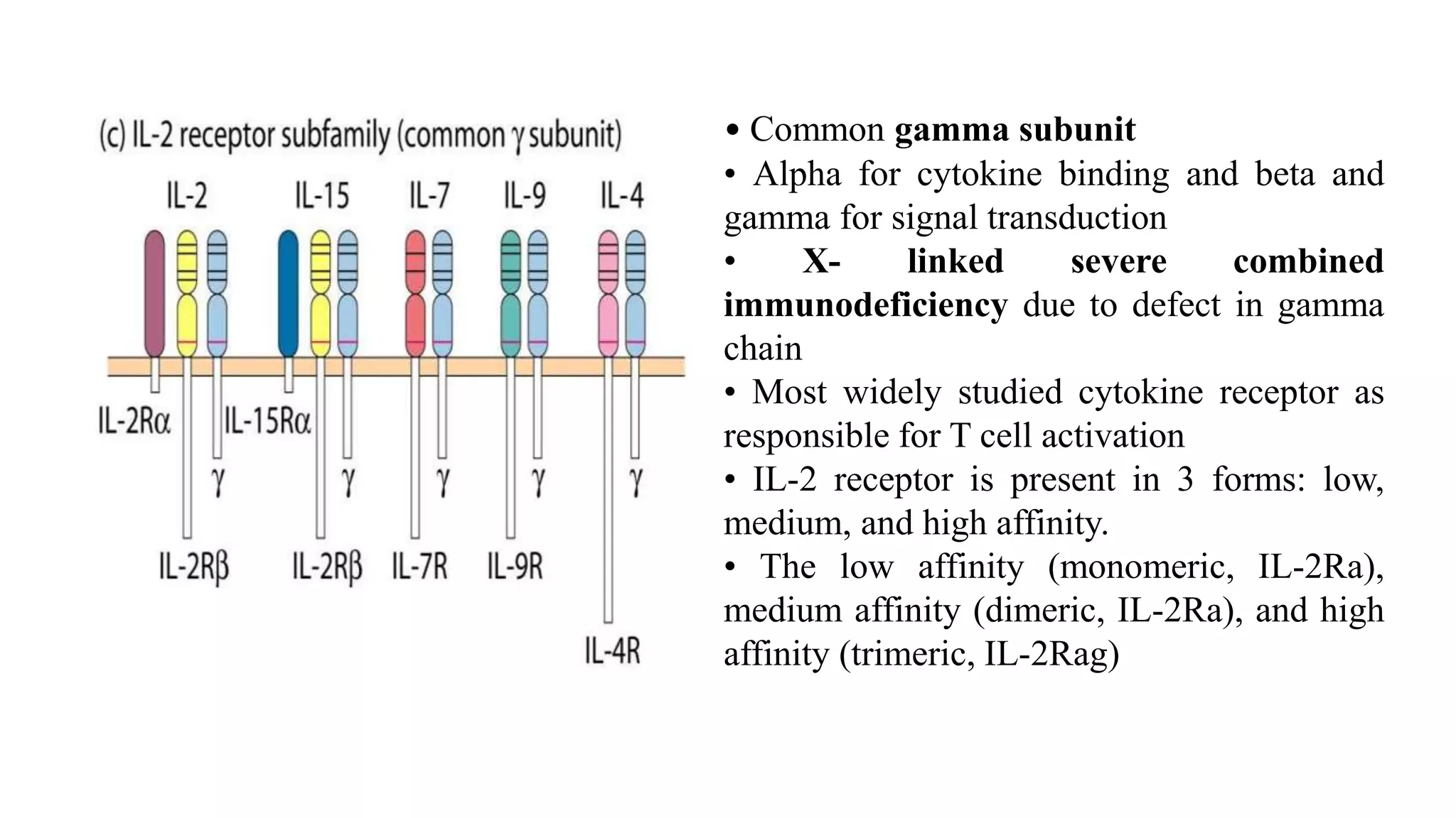 Role of Cytokines in immuneregulation | PPTX