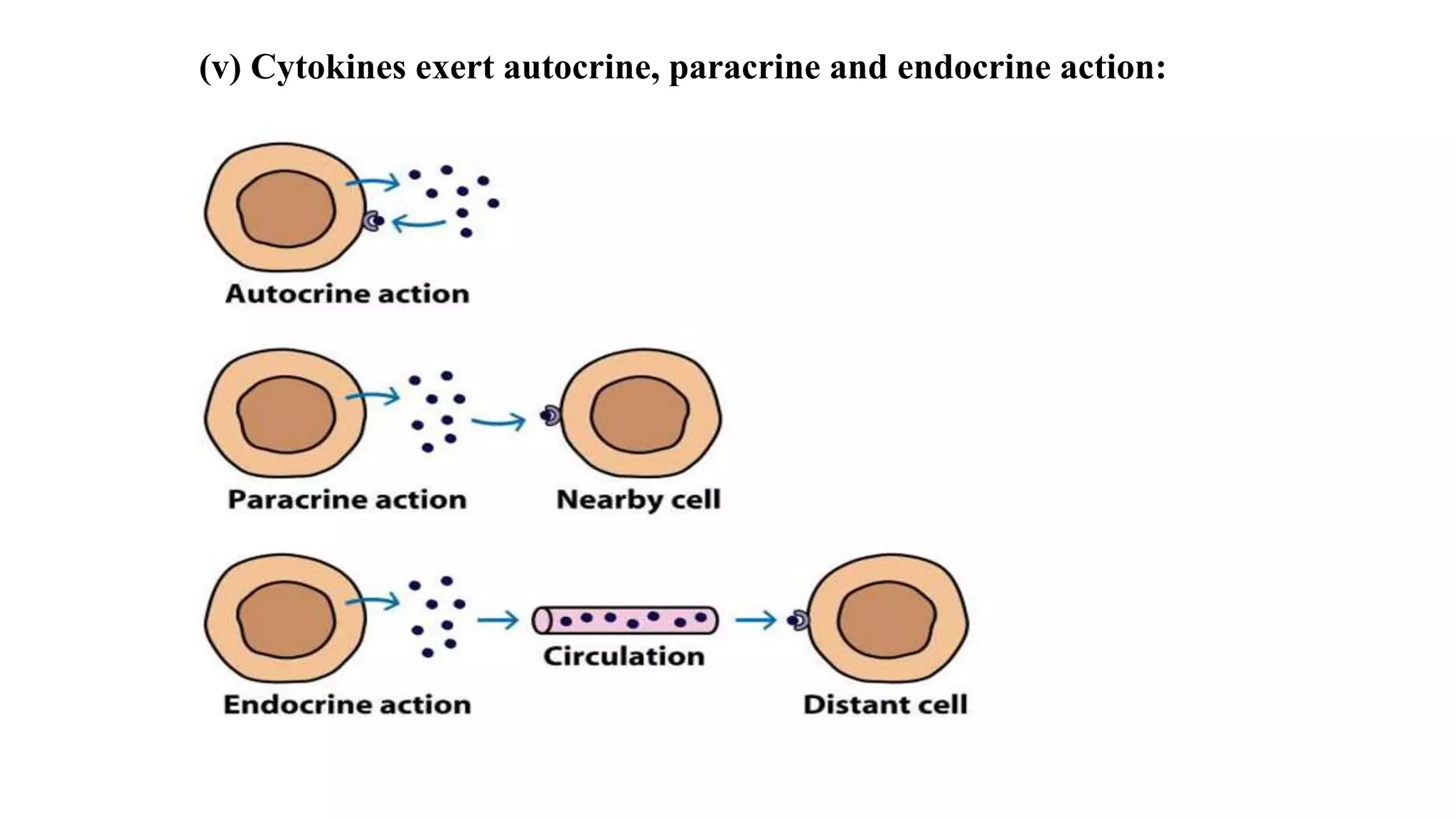 Role of Cytokines in immuneregulation | PPTX