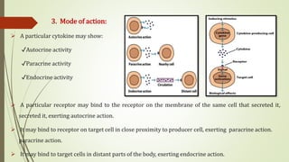 cytokines presentation 1.pptx
