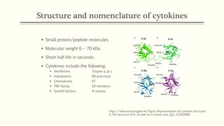 Cytokine storm: COVID-19 KILLER | PDF