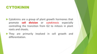 Cytokinin | PPTX