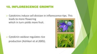 Cytokinin | PPTX