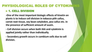 Cytokinin | PPTX