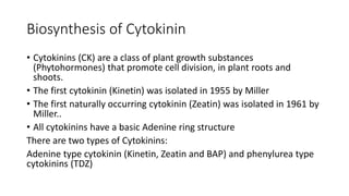 CYTOKININ Biosynthesis.pptx