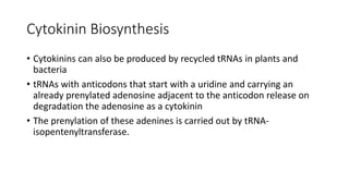 CYTOKININ Biosynthesis.pptx