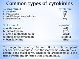Cytokinin | PPTX