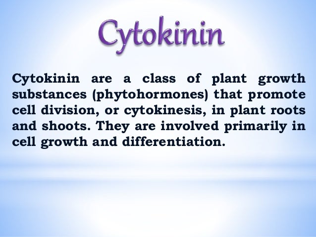 Cytokinin
