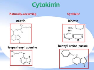 cytokininpresentation-160701054942 copy.pptx