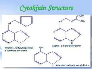 cytokininpresentation-160701054942 copy.pptx