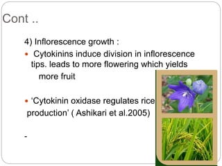 Cytokinins | PPTX