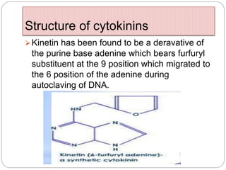 Cytokinins | PPTX