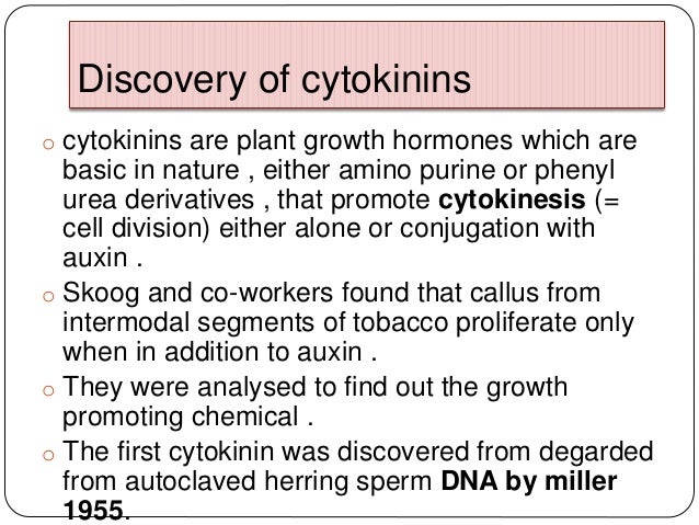 Cytokinins