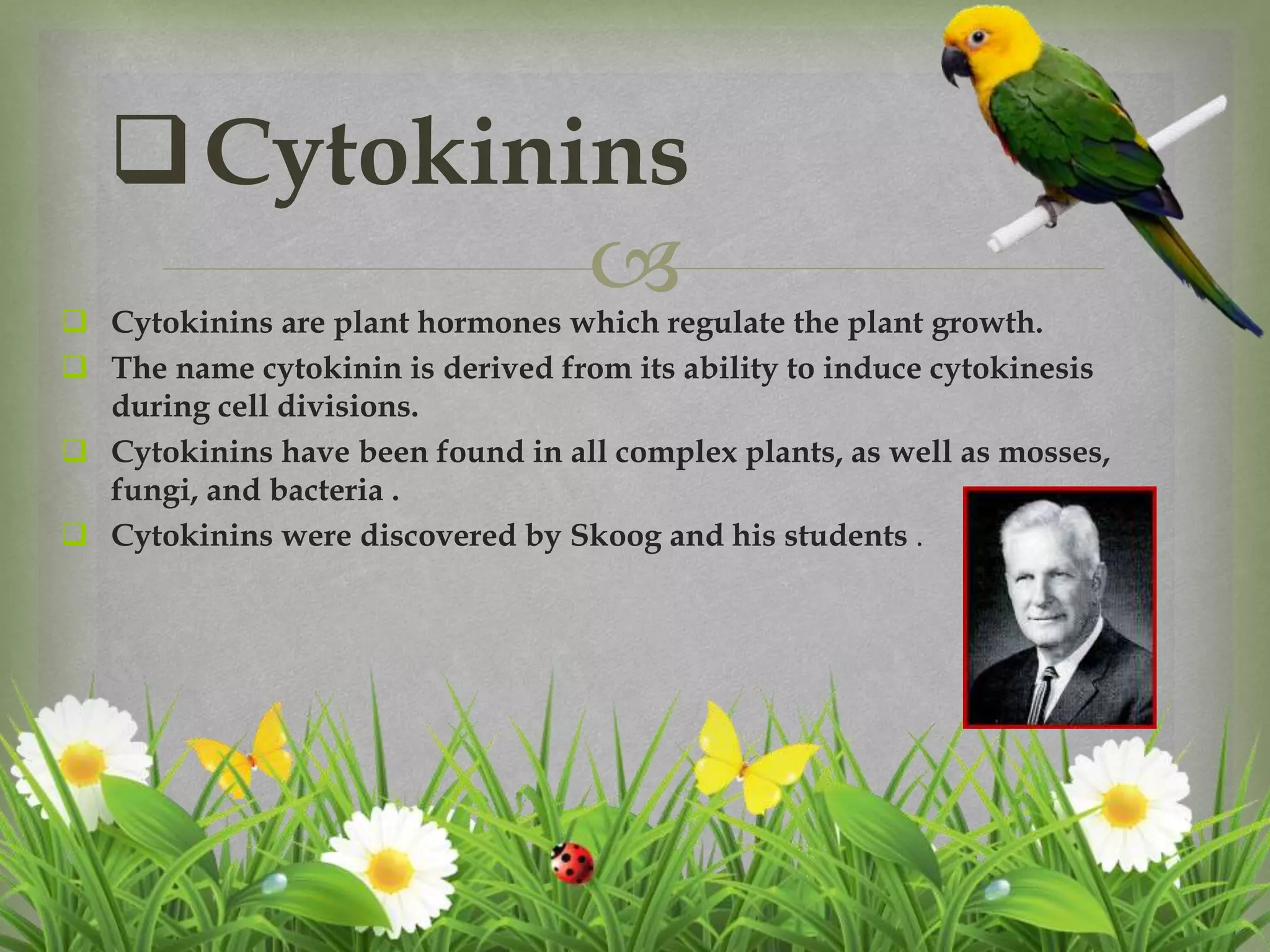 Cytokinins | PPTX