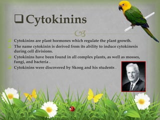 Cytokinins | PPTX