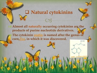 Cytokinins | PPT