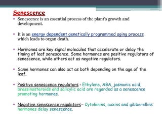Plant hormone (Part-3)- Cytokinins | PPTX
