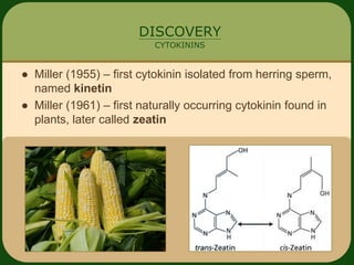 Cytokinins | PDF