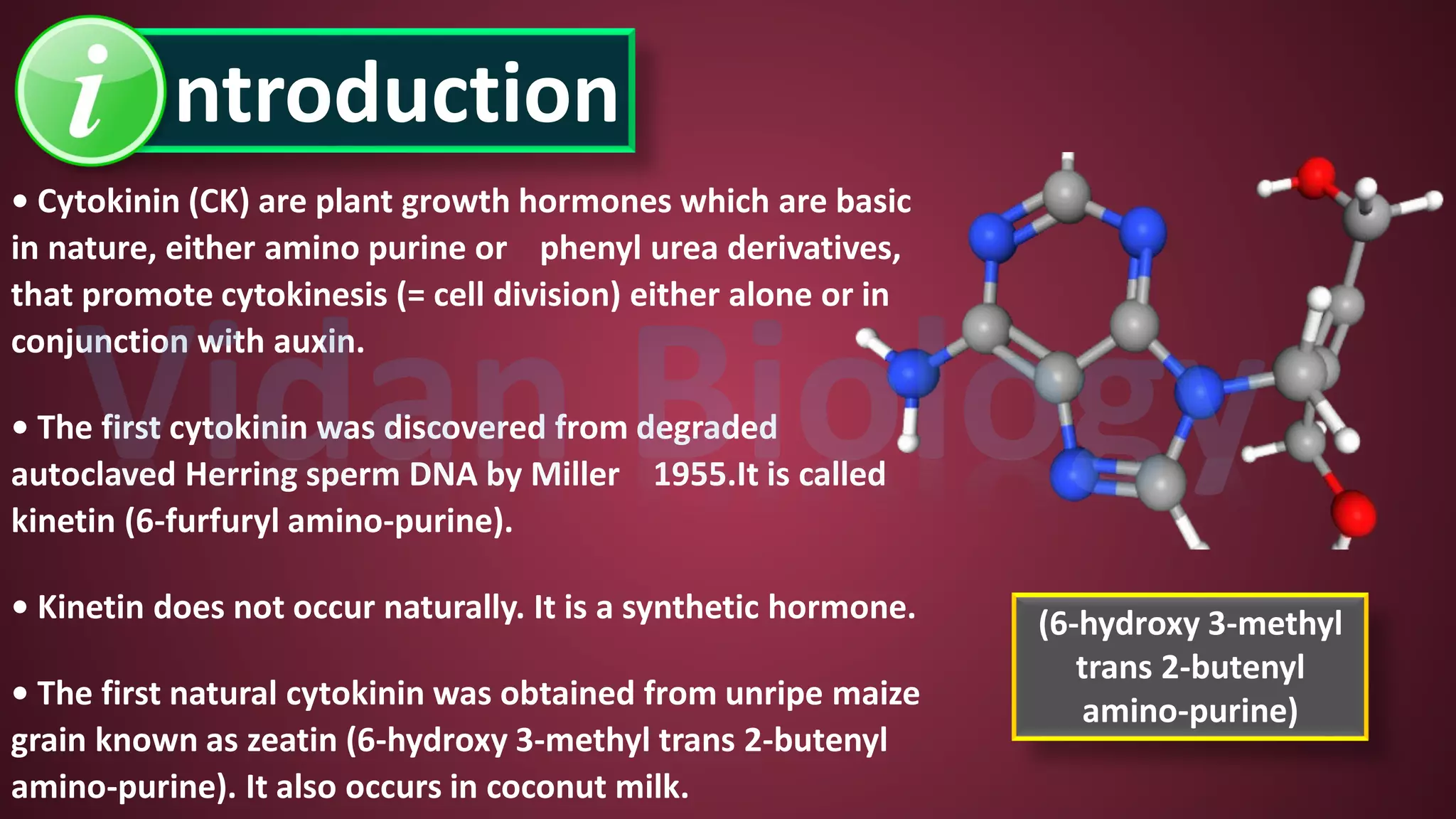 Cytokinin plant hormones complete | PDF