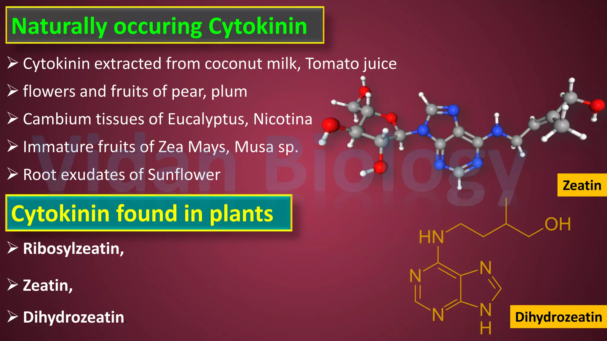 Cytokinin plant hormones complete | PDF