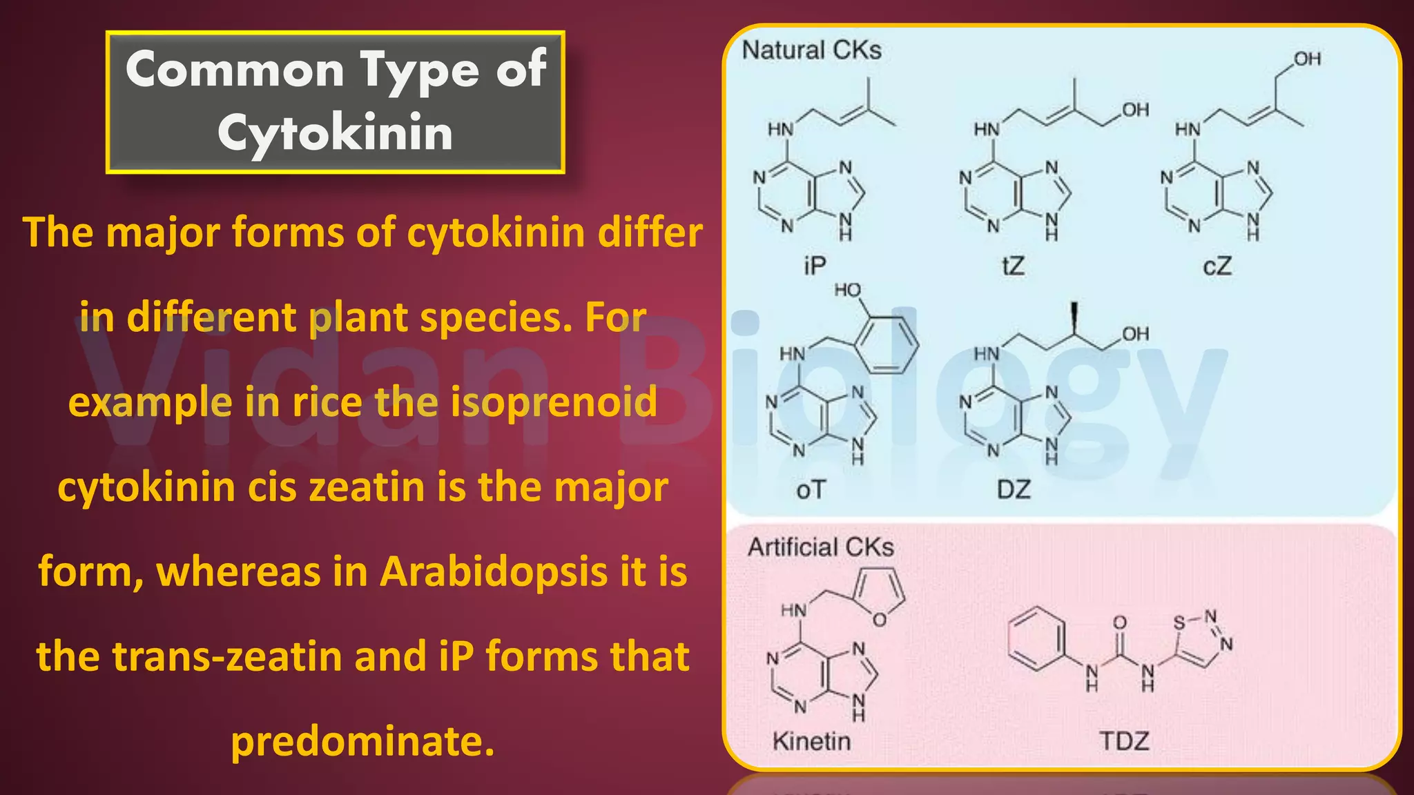 Cytokinin plant hormones complete | PDF